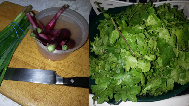 30 Days, 30 Pounds: The First 10 Days – Astrid Cook – AUTHOR, SINGER ...