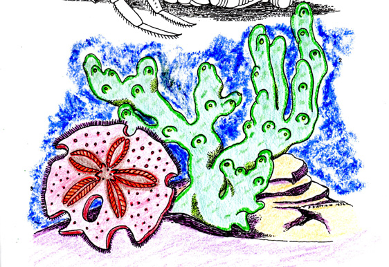 30 Days, 30 Pounds: The Second 10 Days – Astrid Cook – AUTHOR, SINGER ...